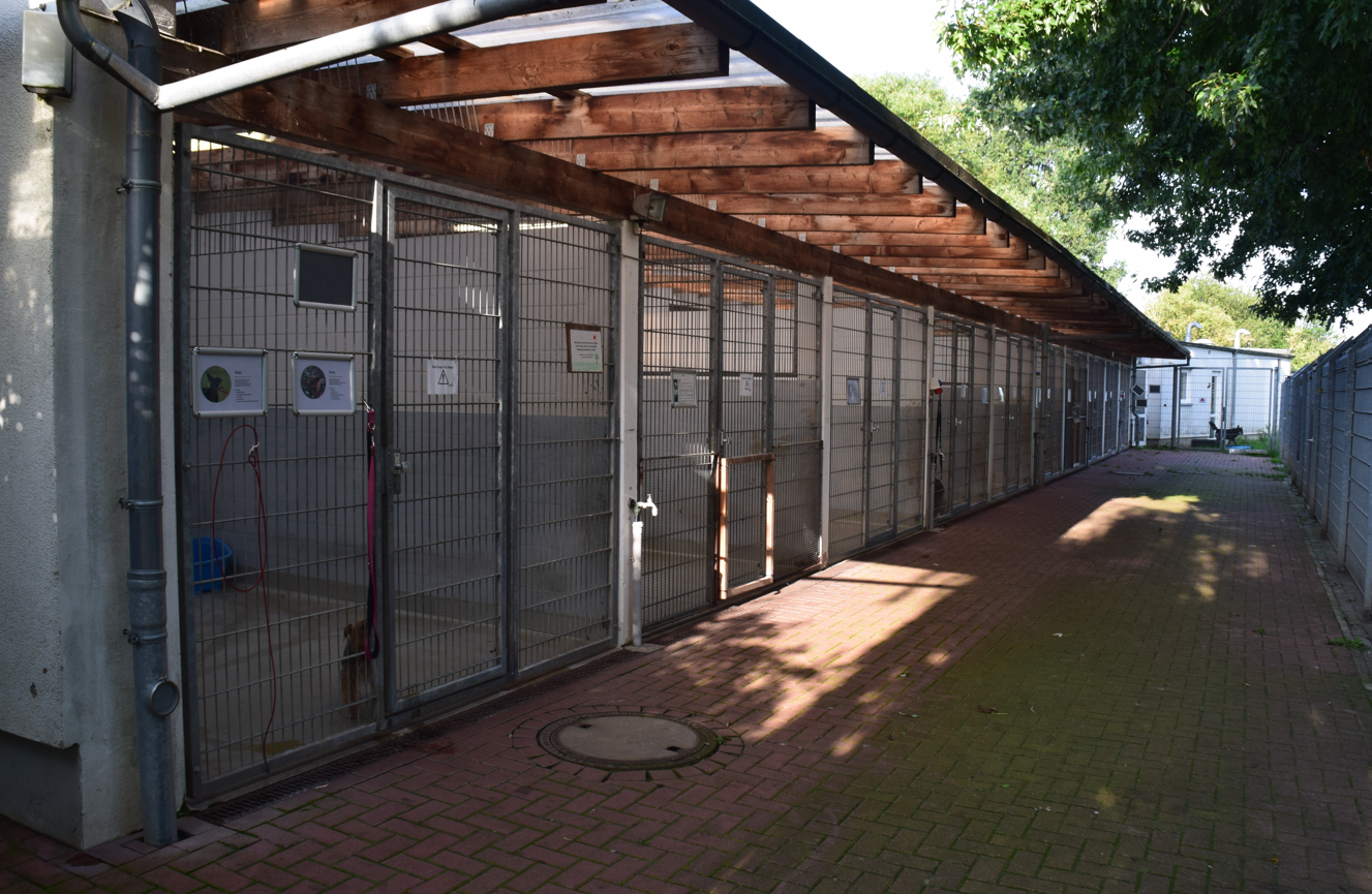 Das Tierheim - BMT Arche Noah