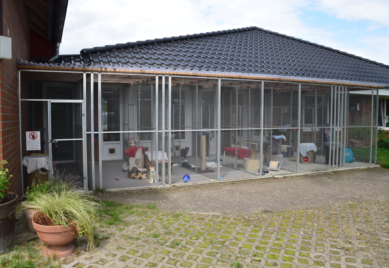 Das Tierheim - BMT Arche Noah