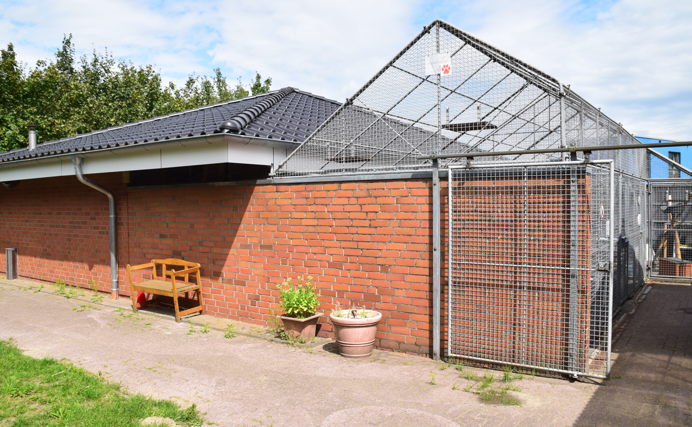 Das Tierheim - BMT Arche Noah